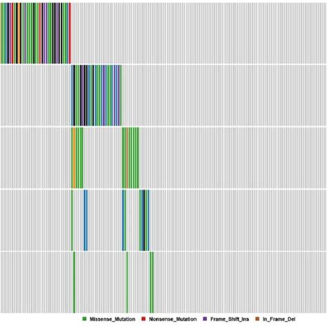 Mutations In The Beta Catenin Destruction Complex Each Column