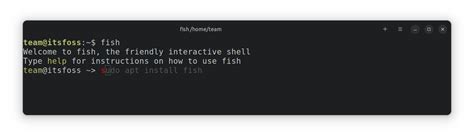 Beyond Bash Lesser Known Linux Shells And Their Capabilities