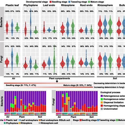 Deterministic And Stochastic Processes In Microbiome Assembly A Download Scientific Diagram