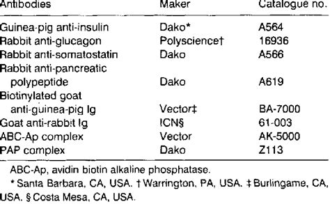 Antibodies Used In Human Pancreatic Islets Download Table
