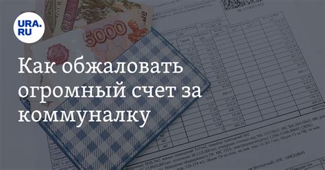 Как обжаловать огромный счет за коммуналку куда обращаться причины больших цен