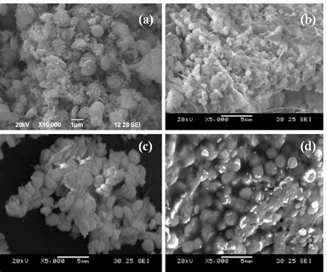 Sem Image Of A Zno B Cu Zno C Co Zno And D Co Cuzno