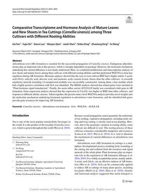 Comparative Transcriptome And Hormone Analysis Of Mature Leaves And New