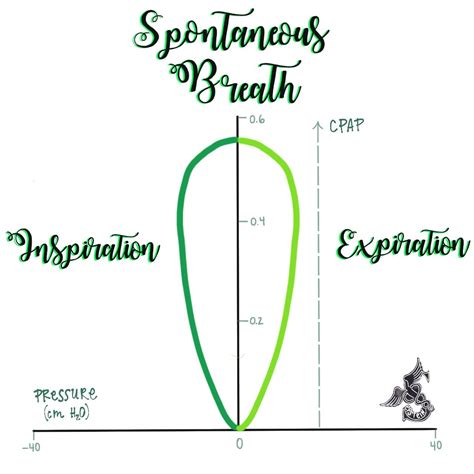Danelle Howard On Linkedin Understanding Ventilator Loops Is