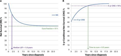 Examples Of Calculation Of Cure Fraction Median Life Expectancy Of