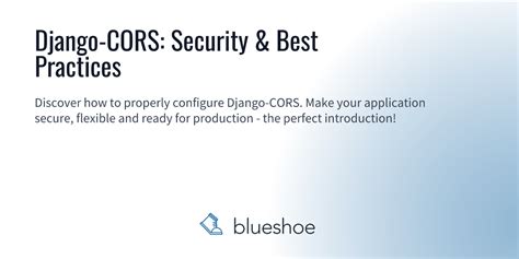 Django Cors Security And Best Practices Blueshoe