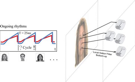 14 Learning Procedure For Distributed Isolated Modules Six Modules Download Scientific