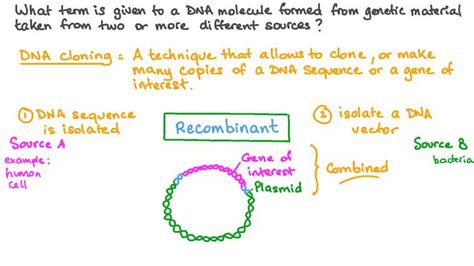 Recombinant Dna Examples