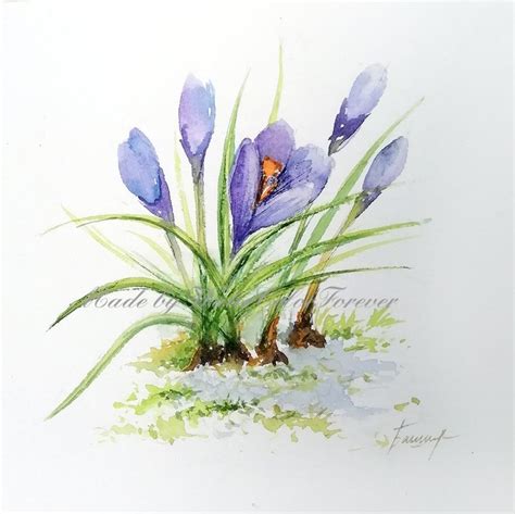 Crocus Drawing At PaintingValley Com Explore Collection Of Crocus Drawing