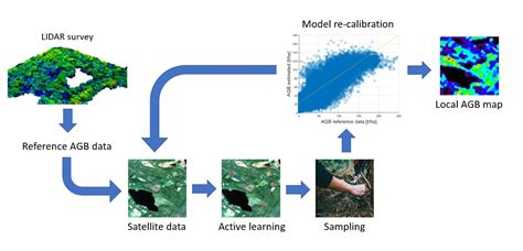 Forest Aboveground Biomass Estimation Using Machine Learning Ensembles