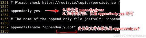九 Redis 持久化 Aof详细讲解说明，一个配置一个说明分析，步步讲解到位 2redis Aof配置 Csdn博客