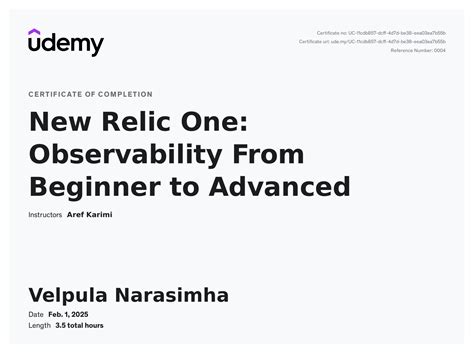 Narasimha Velpula Sse At New Relic React Developer Frontend