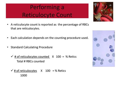Ppt Performing A Reticulocyte Count Powerpoint Presentation Free