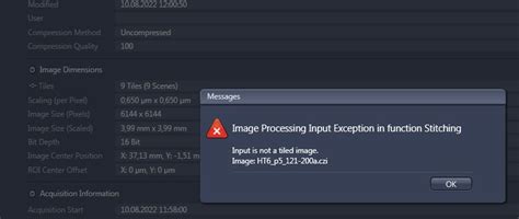 Stitching Czi Files That Contain Scenes Usage And Issues Imagesc Forum