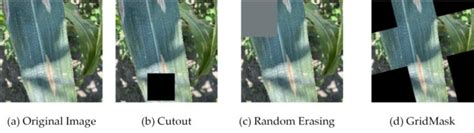 Classical Online Data Augmentation With A Original Image B Cutout