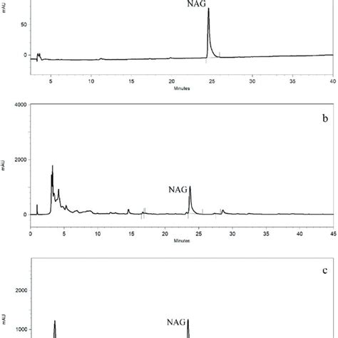 Hplc Chromatogram Of Neoandrogapholide From Andrographis Macrobotrys Download Scientific