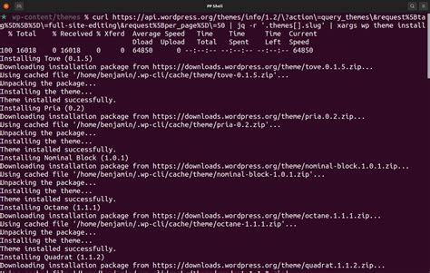 Installing Block Based Themes With Wpcli Passions Play