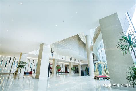 遂昌凯兴开元大酒店智能机器人微改造精提升项目完工晾晒 知乎