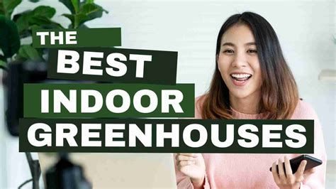 10 Best Plant Identifier Apps 2026 Houseplant Advisor