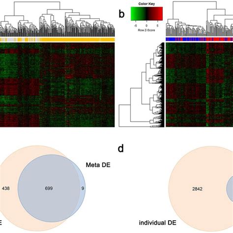 Hierarchical Clustering And Venn Diagram A Two Way Hierarchical