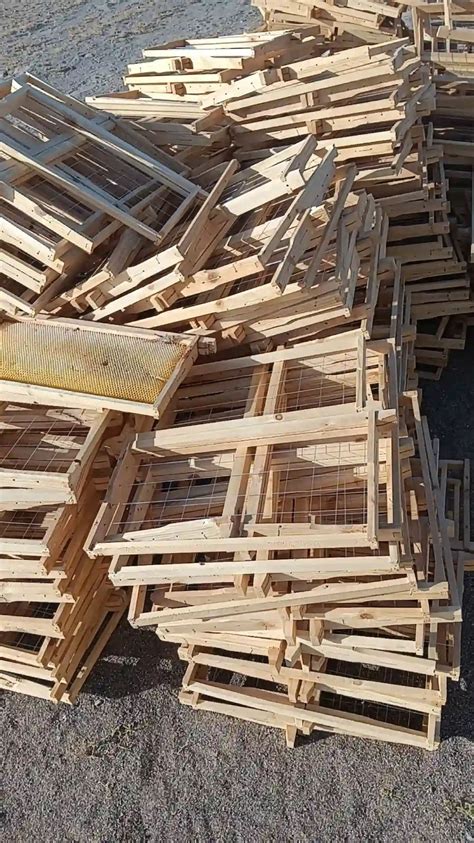 Joshim Uddin On Linkedin Frem