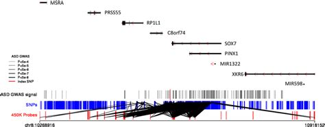 Dna Methylation Quantitative Trait Loci Mqtl Mapping Can Localize Download Scientific Diagram