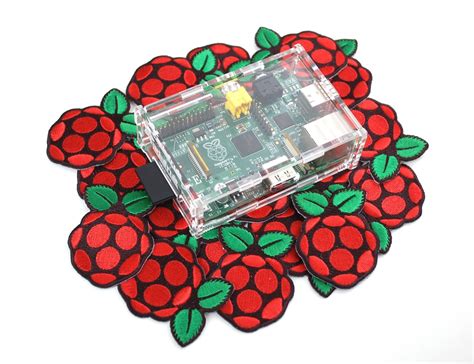 New Product Raspberry Pi Skill Badge Iron On Patch Piday Raspberrypi Raspberrypi