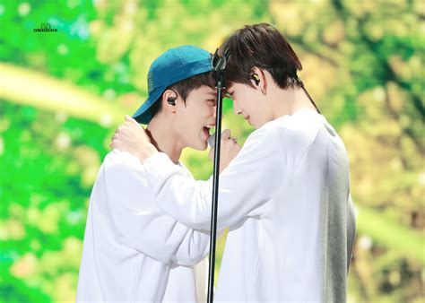 잡담 새벽이군 인스티즈instiz Kpop예능 카테고리