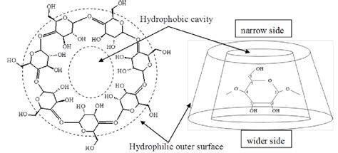 The Structure Of Beta Cyclodextrin β Cd Download Scientific Diagram
