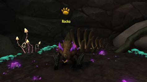 Wow Rocko Muss Rasiert Werden So Schafft Ihr Die Pet Battle Weltquest