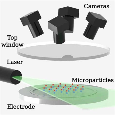 Phonon Spectra Split In Vertically Aligned Bilayer Crystal Of Binary