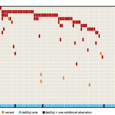 Molecular And Cytogenetic Characterization Of Patients With Mds With
