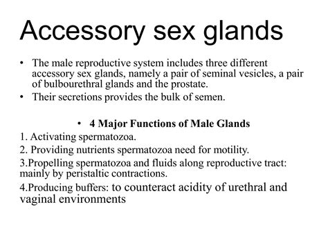 Male Reproductive System Spermatogensis Spermpptx