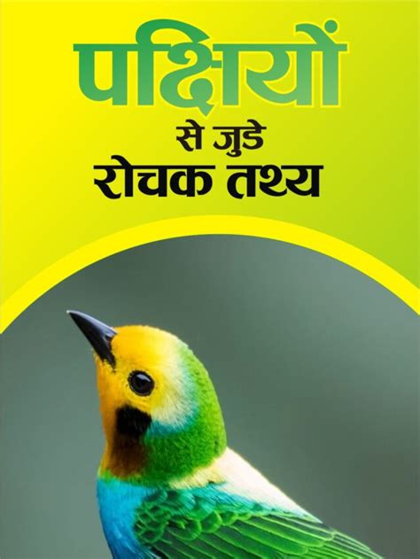 Birds Facts पक्षियों से जुड़े रोचक तथ्य Hindi Explore