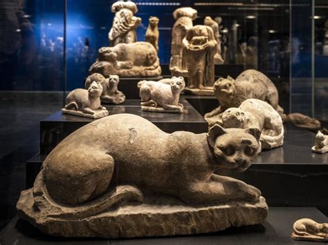 دلیل روانشناختی شباهت سگ‌ها به صاحبانشان ایندیپندنت فارسی