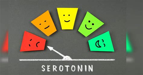 Serotonin Meaning Working Levels Functions And More