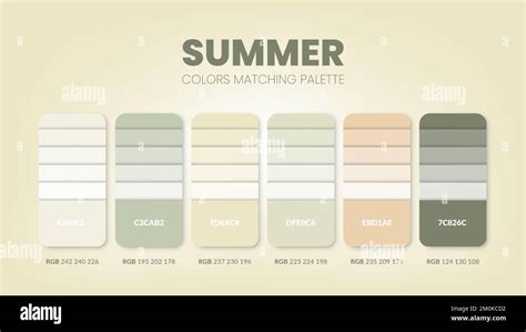 color palette in a summer colour theme collections color scheme or