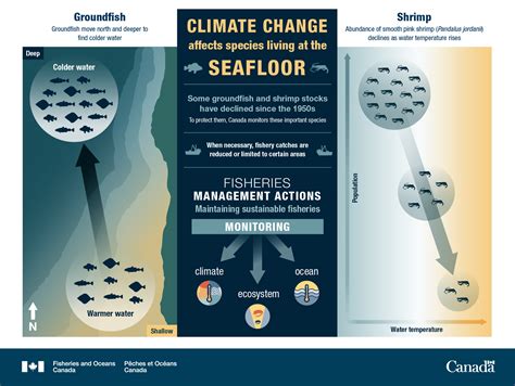 Canadas Oceans Now Pacific Ecosystems 2021