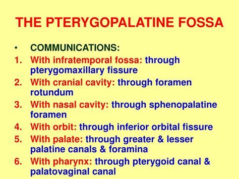 Ppt Infratemporal Fossa Ii Maxillary Nerve And Vessels Powerpoint