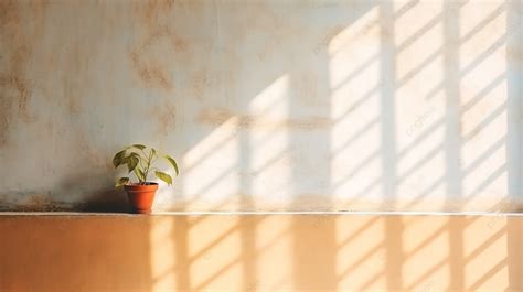 창 그림자 오버레이가 있는 아름답게 계층화된 벽 질감 배경 벽 그림자 빛 그림자 세로 배경 배경 일러스트 및 사진 무료 다운로드 Pngtree