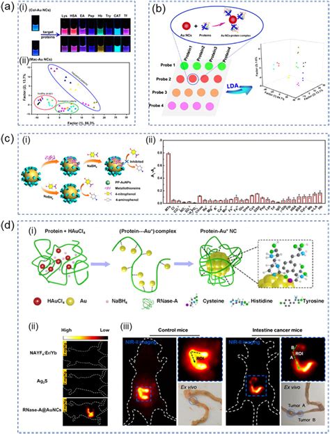 Nms For Biosensing And Bioimaging A Auncs For Protein Download