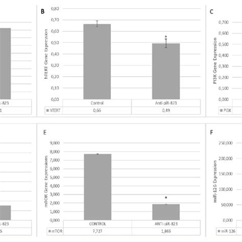 The Proliferation Of Mda Mb 231 Cells At 24 Th 48 Th And 72 Nd Hours