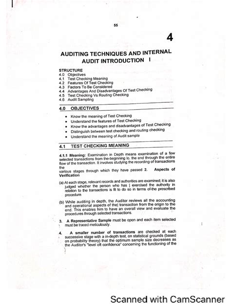 Auditing Techniques Pdf