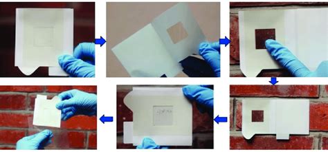 The Adhesive Sheet Sampling Device Developed For Download Scientific Diagram