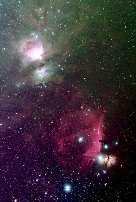 115946 タカハシFSQ85EDP オリオン大星雲と馬頭星雲 by ねこぜ 天体写真ギャラリー