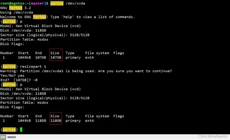 linux根目录分区扩容 parted 扩容根分区 csdn博客