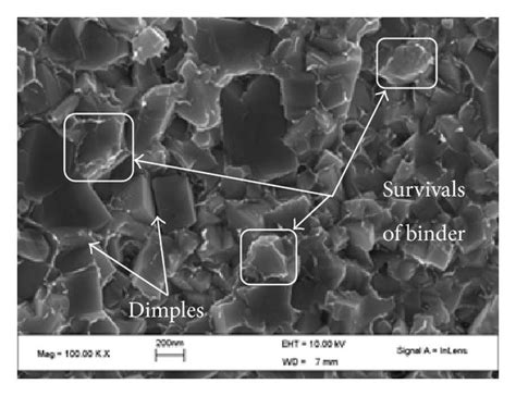 Typical Sem Micrographs On The Fractured Surfaces Of The Prepared Wc Ni