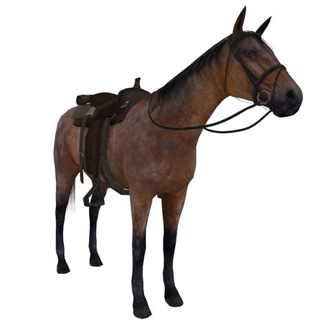 말 와일드 웨스트 1 3d 모델 89 Max Obj Free3d