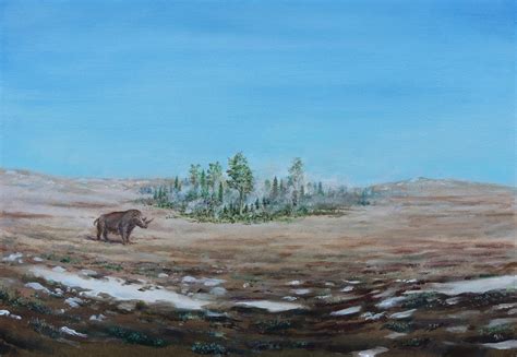 Fossils From An Ice Age ‘tree Spa Discovered Sciencex Innovations