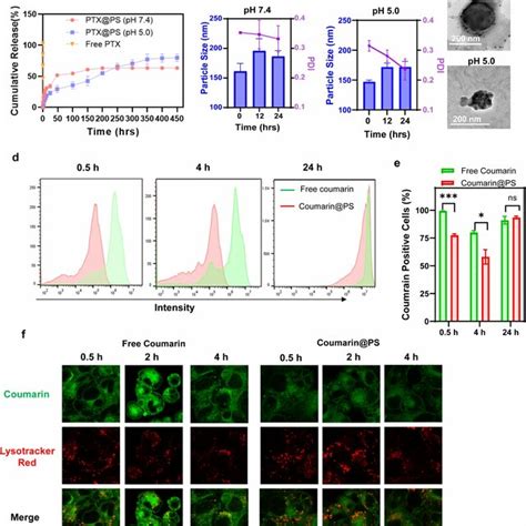 Particle Size Distribution Of Ptx Loaded In Liposomes Lipusu® A And